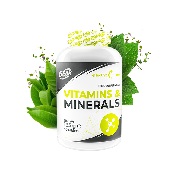 6PAK Vitamins&Minerals 90 tableta