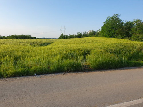 Prodajem plac 101 ar u Velikoj Moštanici opština Čukarica 15min od Beograda