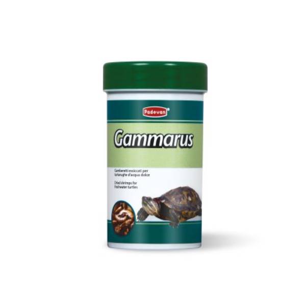 Padovan GAMMARUS - 12gr/100ml