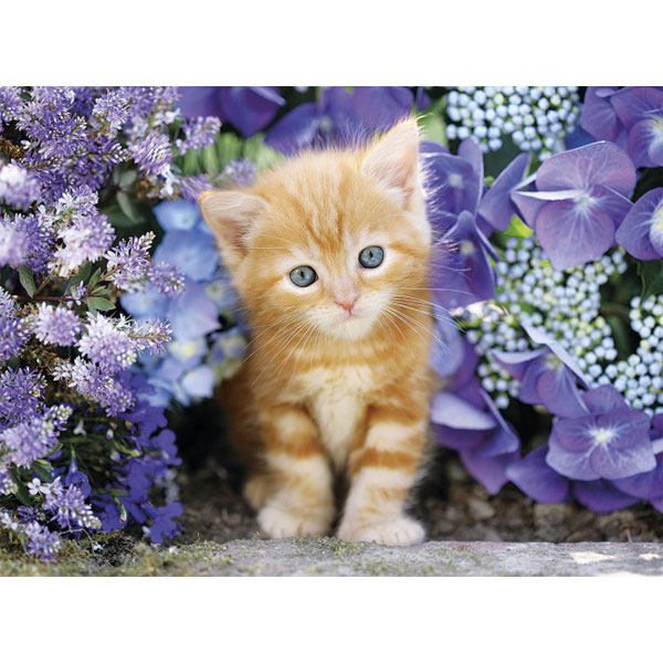 Clementoni Puzzla Ginger Cat in Flowers 500pcs CL30415