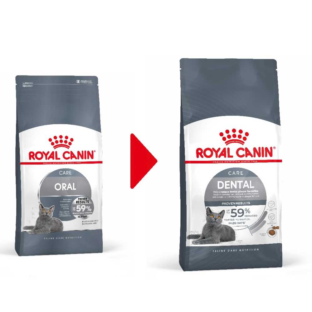 Royal Canin hrana za mačke Dental care 8kg