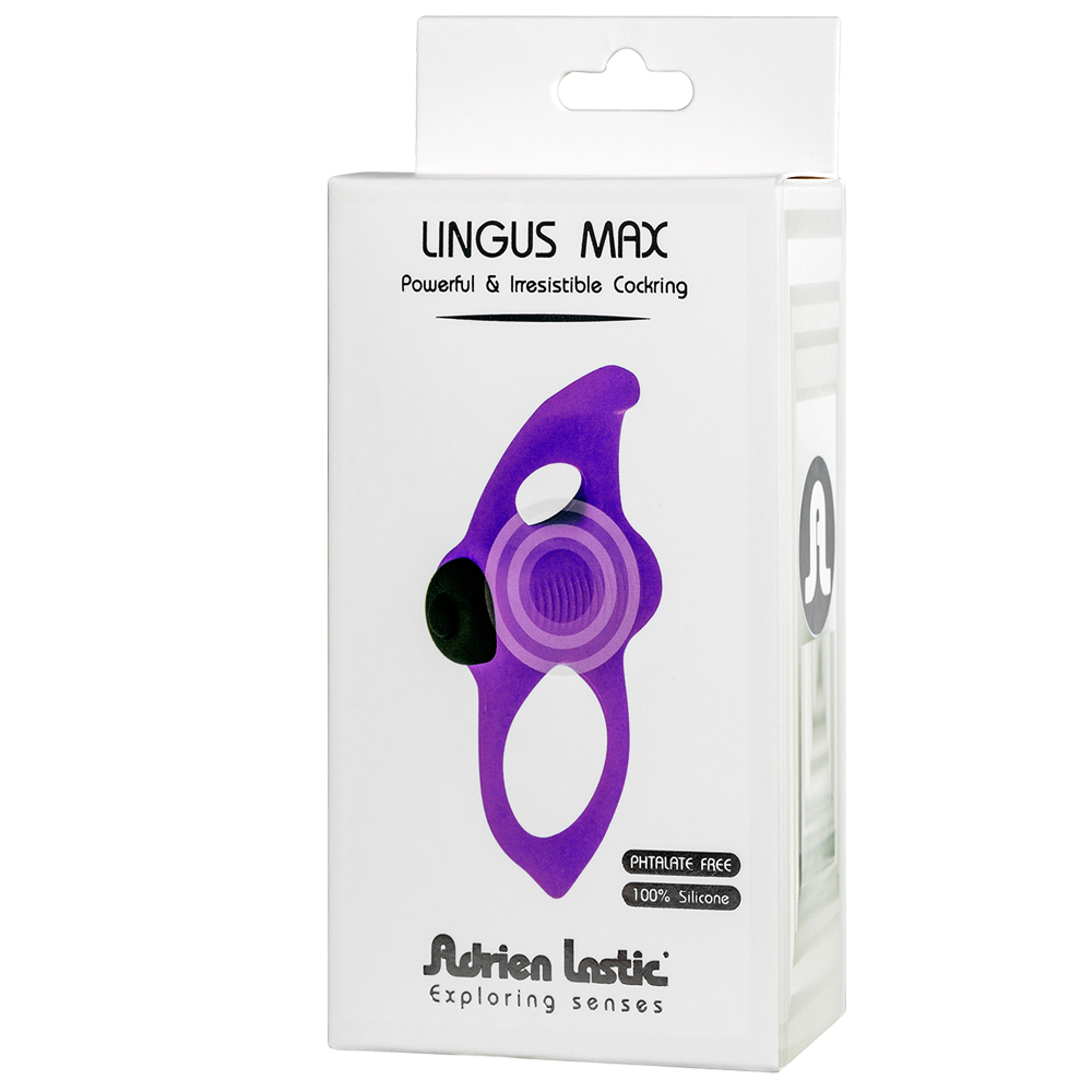 Lingus max violet