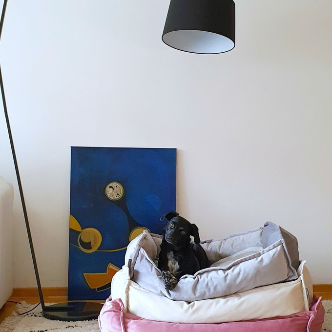 Krevet za pse od premium silky pliša 110x80x28 cm