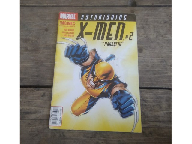 STRIP X MEN 2