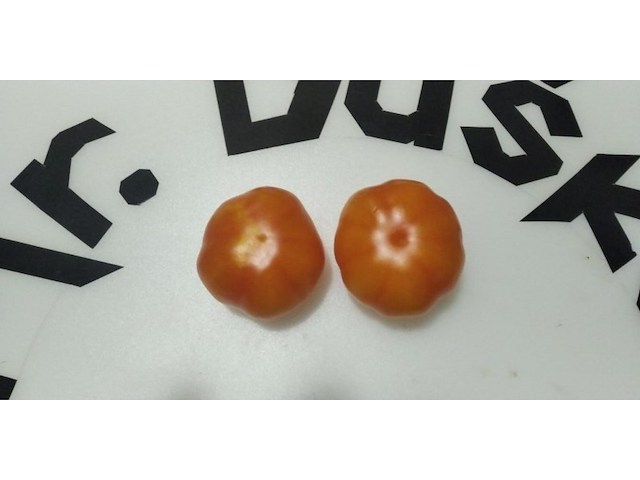 Paradajz Altai orange 40 semena
