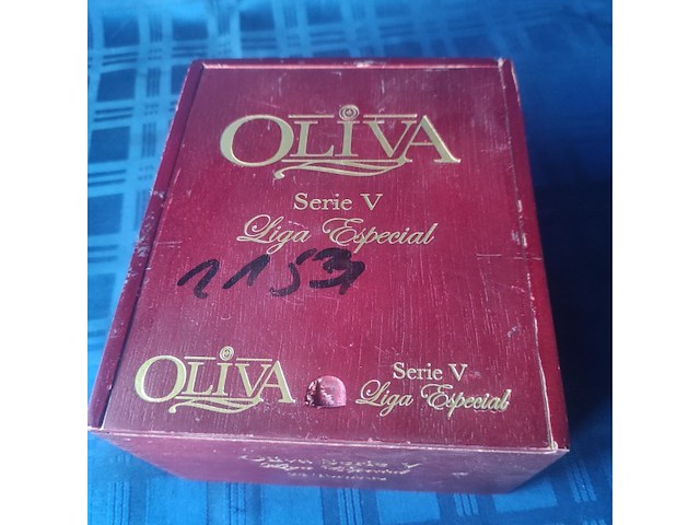 Oliva, 24 torpedo