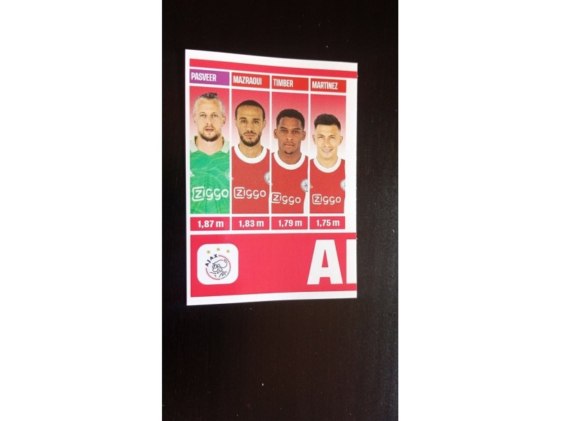 Top Class Panini 2022 broj 330