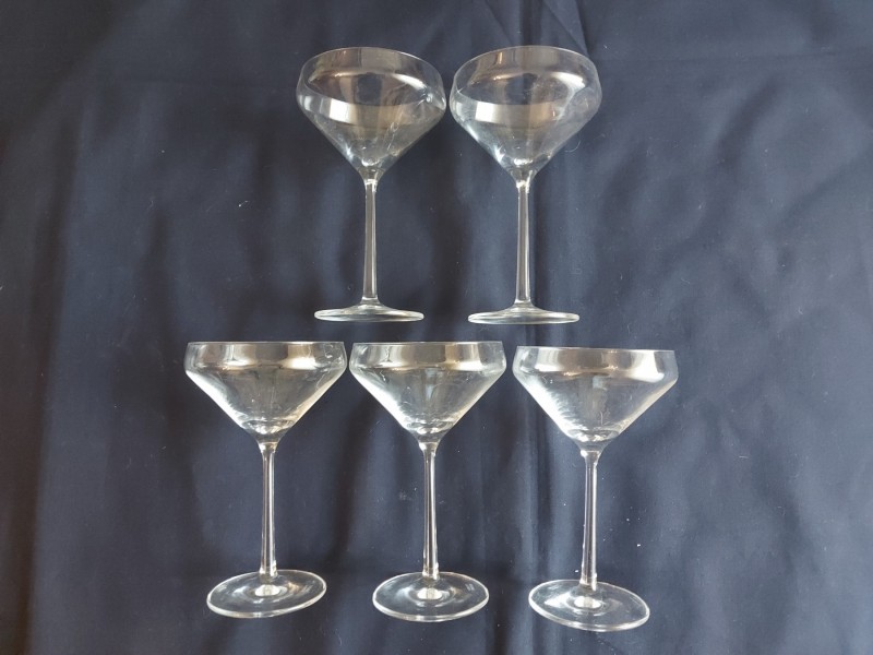 Schott Zwiesel Tritan Cristal martini case