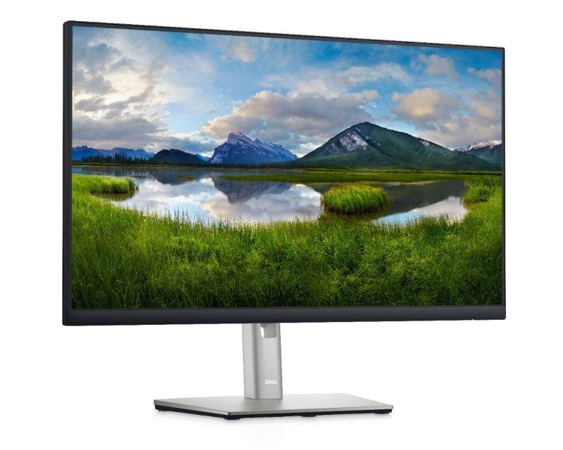 DELL 23.8 inch P2422HE USB-C Professional IPS monitor