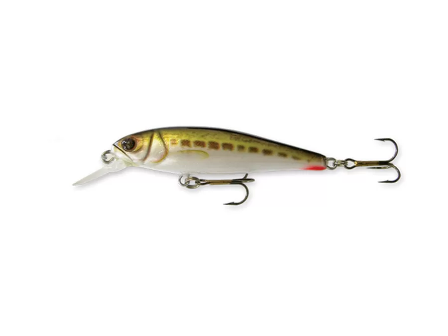 Goldy Gold Fish 5.5 MV S