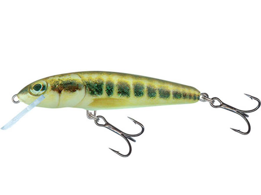 Salmo Minnow 5 M