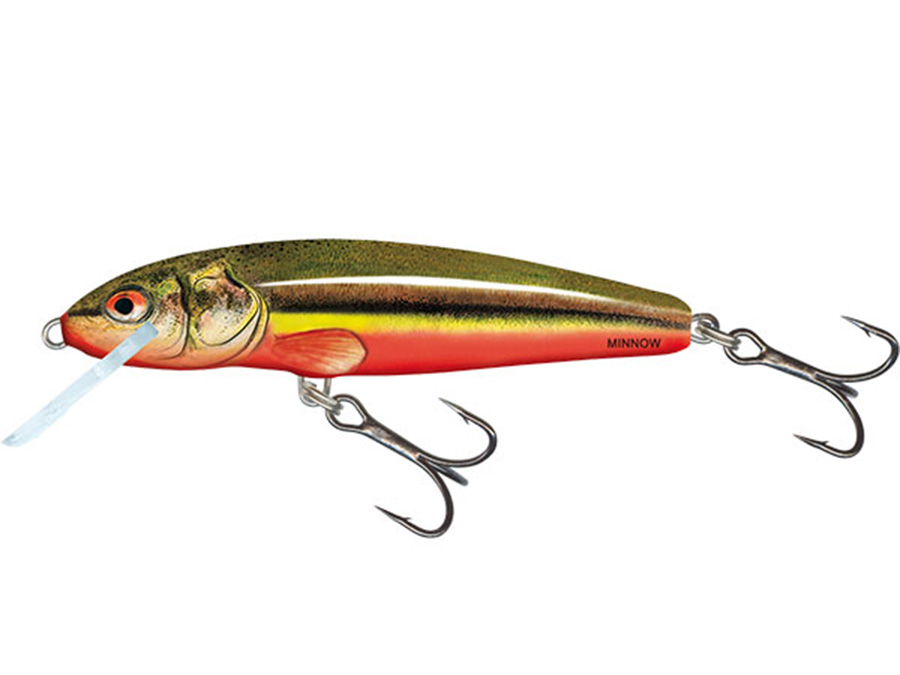 Salmo Minnow 5 RBD