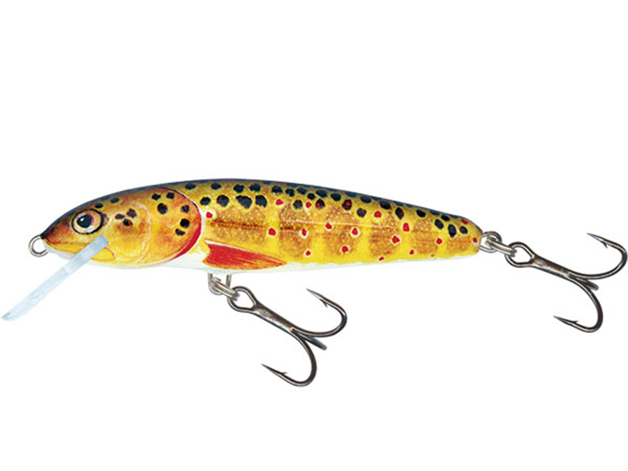 Salmo Minnow 5 T