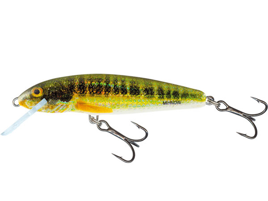 Salmo Minnow 7 HRM