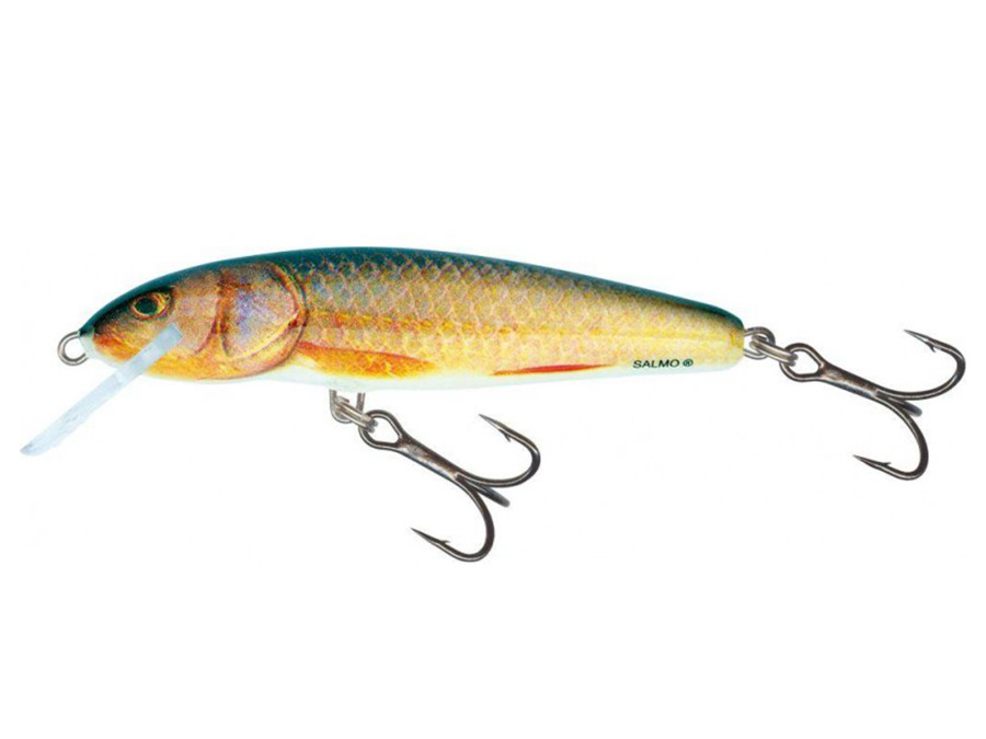 Salmo Minnow 7 RR