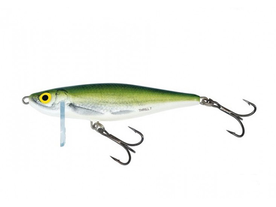 Salmo Thrill 5 OB