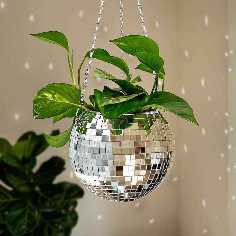 Funky Disco Saksija