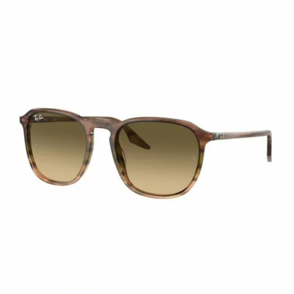 Ray Ban RB2203-13920A 52