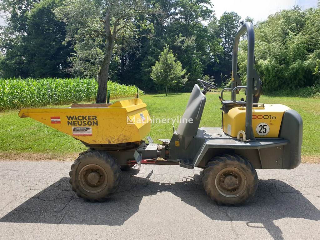 Wacker Neuson 3001 mini damper