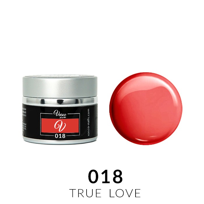 Vasco Paint Gel 018 True Love 5g