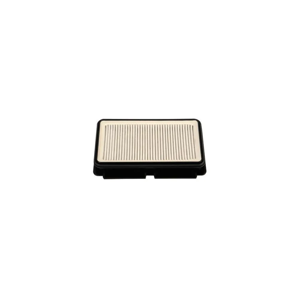 Rowenta Hepa filter ZR902501