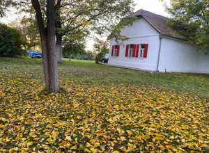 Prodaja Seosko domaćinstvo - Sombor, Obzir