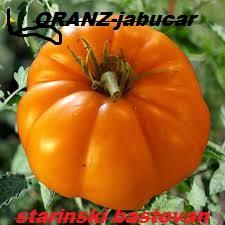 ORANZ JABUCAR