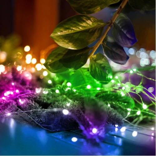 Lampice za jelku sa 50 RGB LED dioda