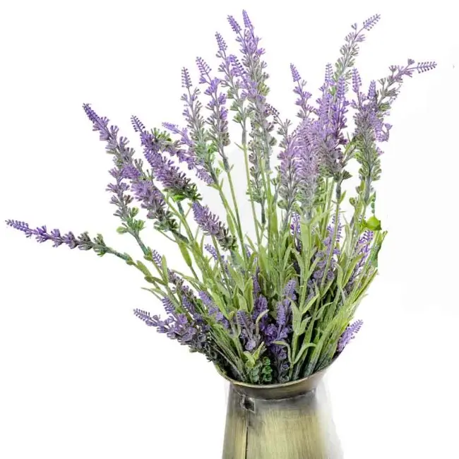 Buket lavanda