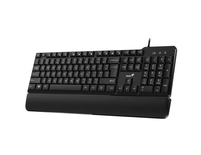 Genius KB-100XP USB USB tastatura crna YU