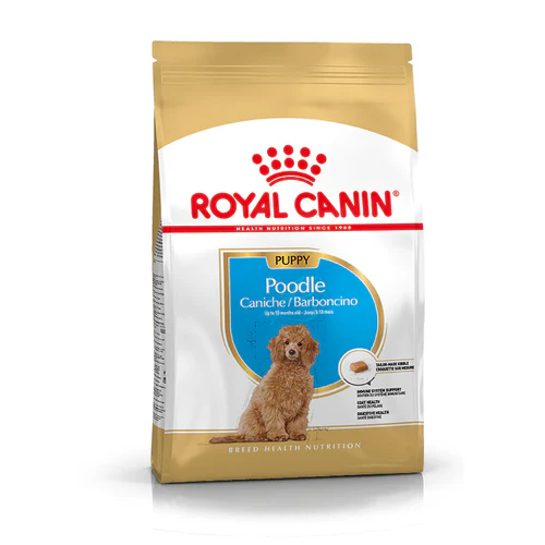 ROYAL CANIN BHN Poodle PUPPY