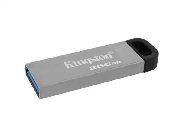 USB memorija KINGSTON DTKN/256GB/Kyson/3.2/srebrna