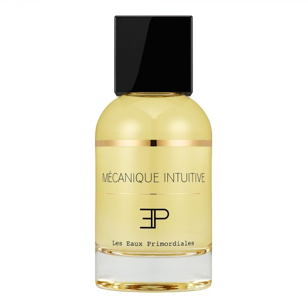 Mecanique Intuitive EdP