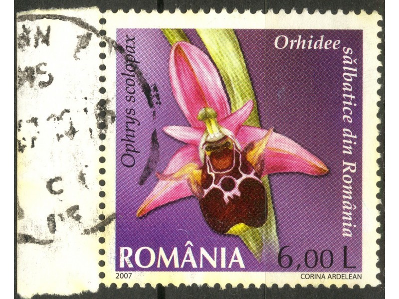 kt603g 23.mart2007 Romania Mi6179(-o-)1/6