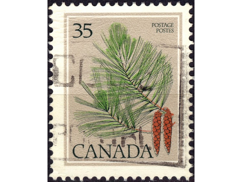 kt591o 8.mart1979 Canada Mi719(-o-)