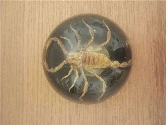 Pozlaceni skorpion u smoli