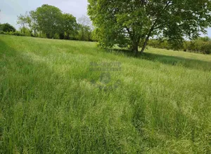 Prodaja Građevinsko zemljište - Petrovaradin, Stari Majur