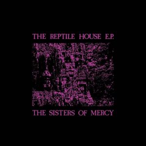 The sisters of mercy