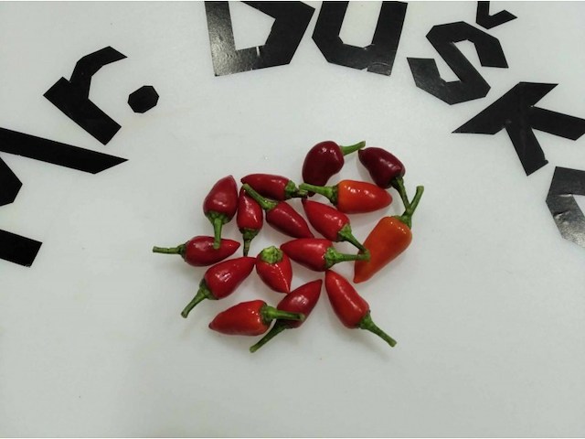Papricica Crvena saksijska ljuta 100 semena