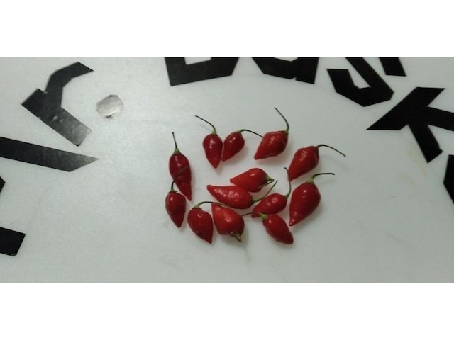 Papričica čili Biquinho Red 30 semena