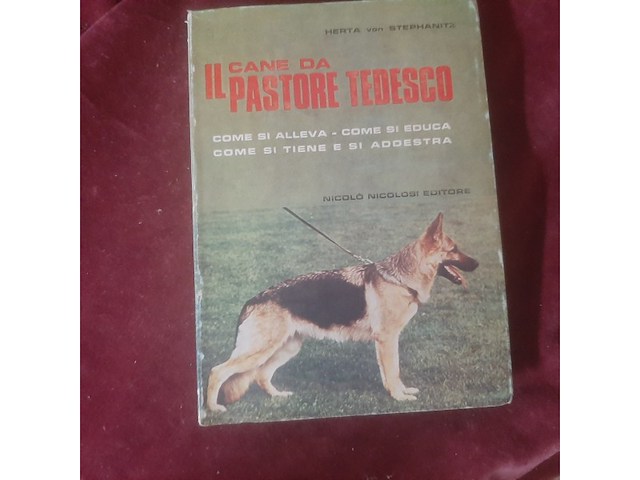 436 Il Cane Da Pastore Tedesco Come Si Alleva