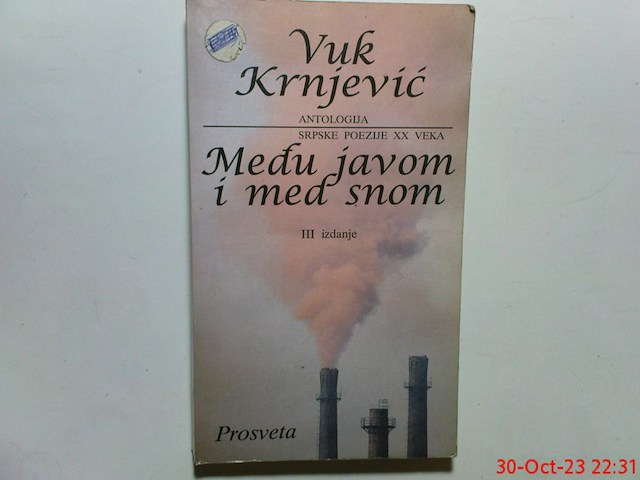 VUK KRNJEVIC - MEDJU JAVOM I MEDJ SNOM