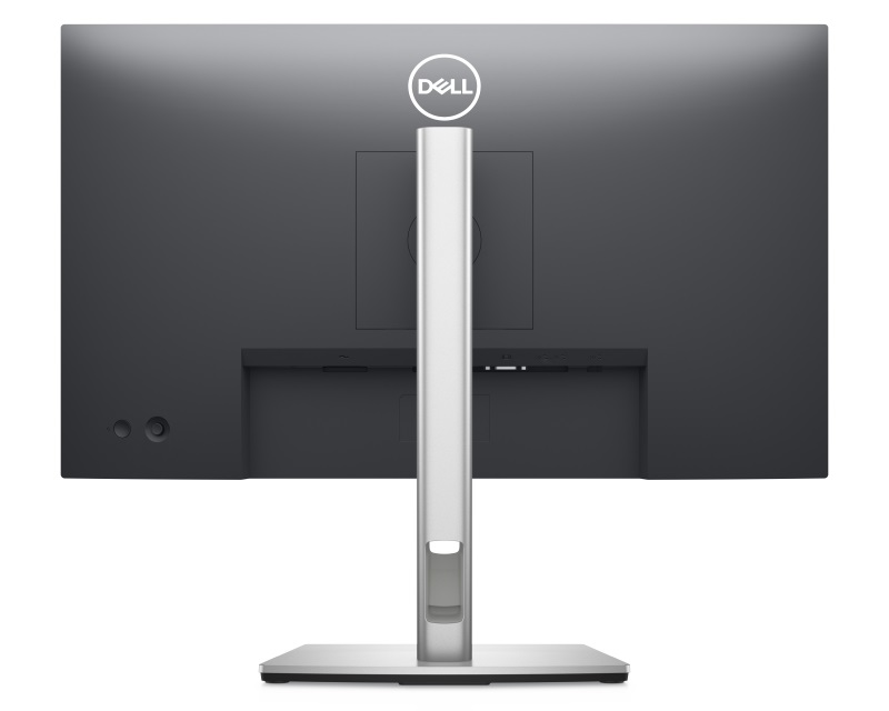 DELL 23.8 inch P2422H Professional IPS monitor