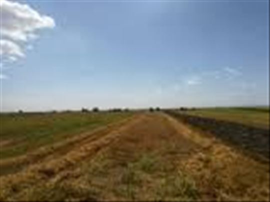 Poljoprivredno zemljiste u Surduku