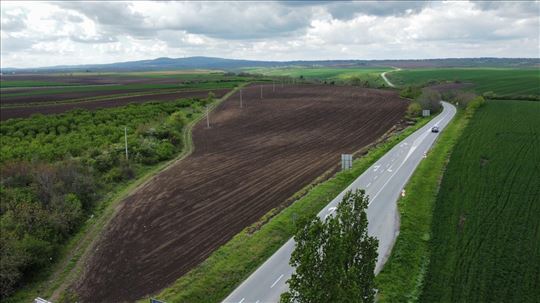 Poljoprivredno zemljište Maradik 10000m2 put NS-BG