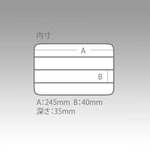 MEIHO PLASTIC BOX VS-3020ND CLEAR
