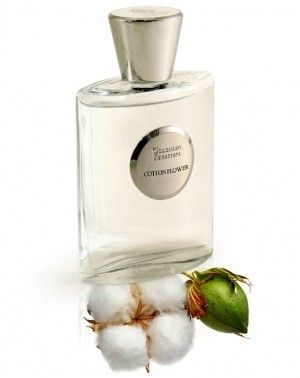 Giardino Benessere Cotton Flower edp 100ml tstr