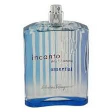 S.F. Incanto Essential M edt 100ml tstr