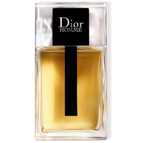 C.D. Dior Homme 2020 M edt 100ml tstr