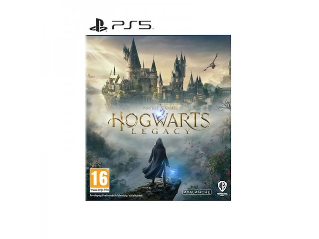 PS5 Hogwarts Legacy